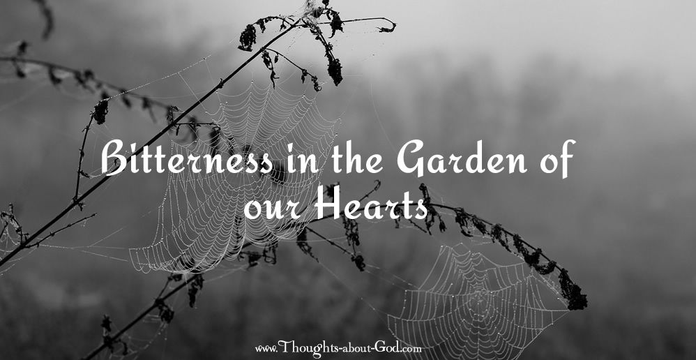 Bitterness in the Garden of Our Hearts - Francis Frangipane