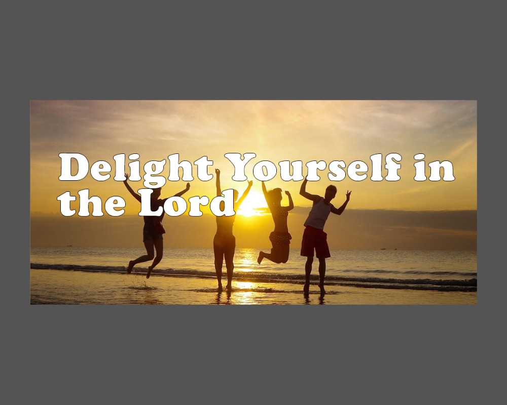 Delight Yourself - by Phil Ware