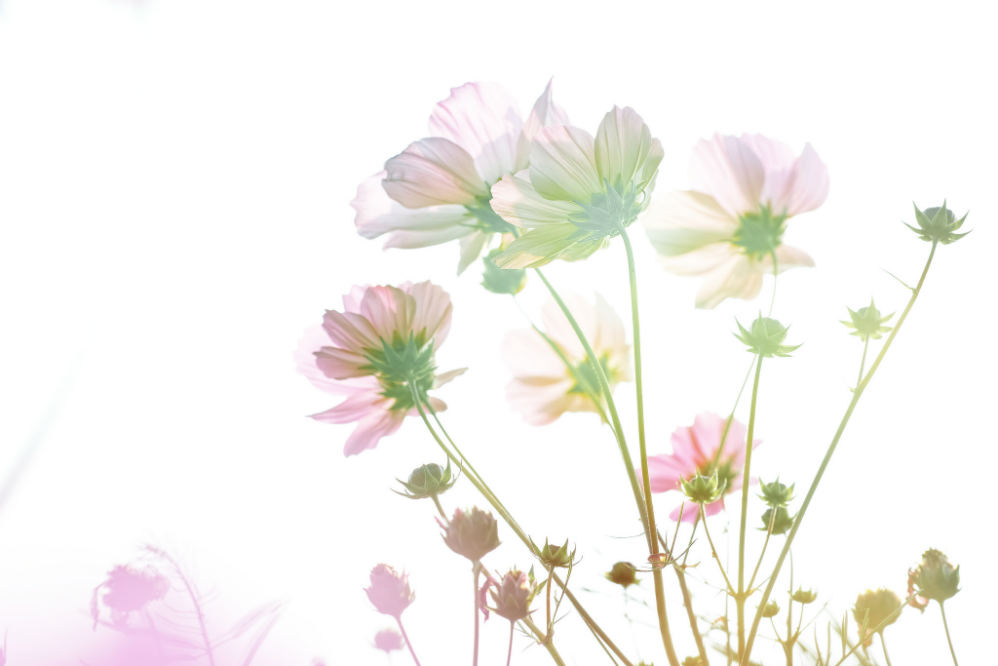 Up From Depression - by Barb Epp