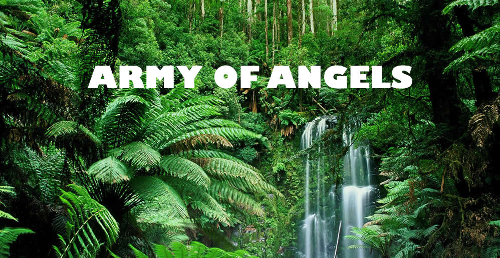 Army of Angels | A Story of a Miracle