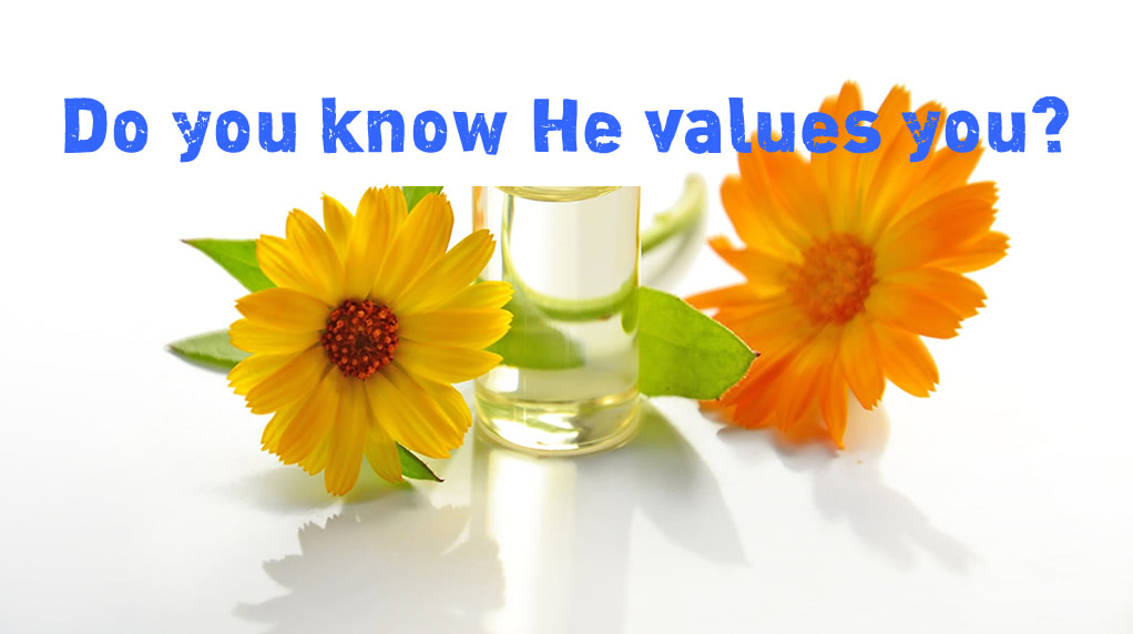 What the Lord Values! - Thoughts about God