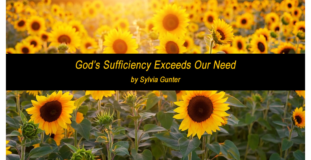 God's Sufficiency Exceeds Our Need - by Sylvia Gunter