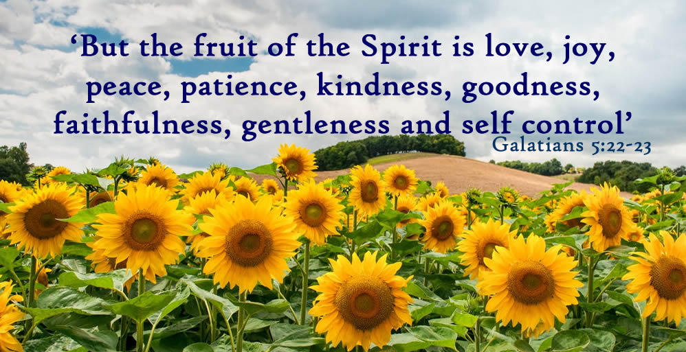 How to Make a Difference in Someone’s Day - Devotional by Laura Rath