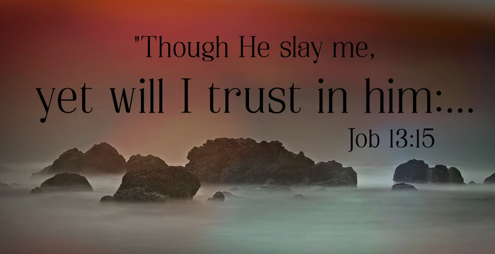 Trusting God in Suffering - Devotional by Karen Woodard