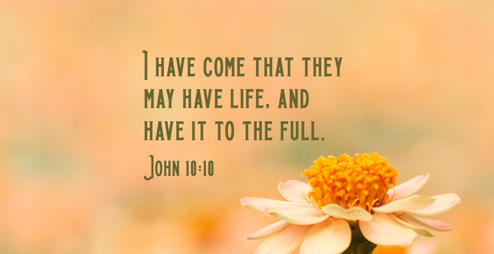 Abundant Life? - A Devotional by Karen Woodard