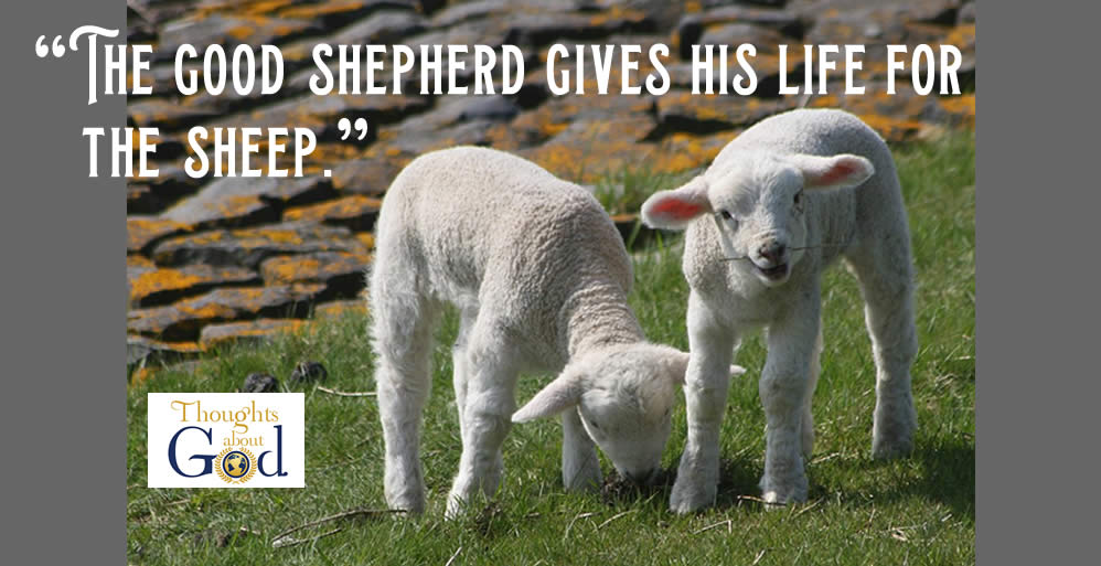 The Good Shepherd - A Devotional by Max Lucado