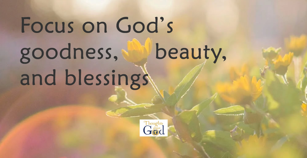 God’s Beauty All Around Us - A Devotional by Bradley Stubbs