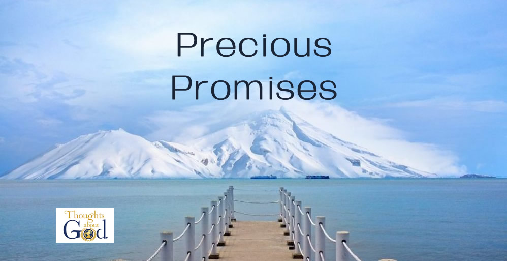 Precious Promises | a Devotional by Roy Lessin