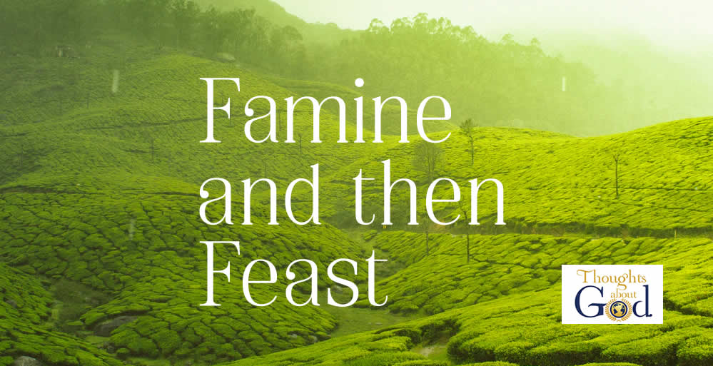 Famine and Then Feast - A Devotional by Marilyn Ehle