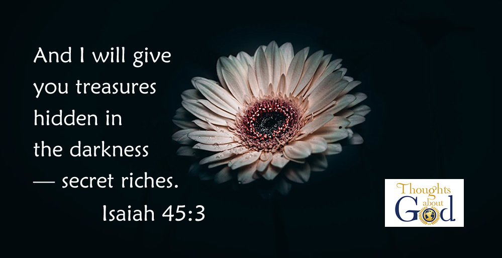 Treasures in Darkness - A Devotional by Vonette Bright