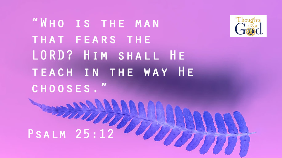 Finding Clear Guidance - A Devotional by Charles Stanley