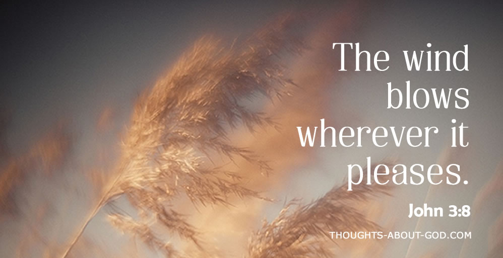 The Wind of the Spirit - A Devotional by Marilyn Ehle