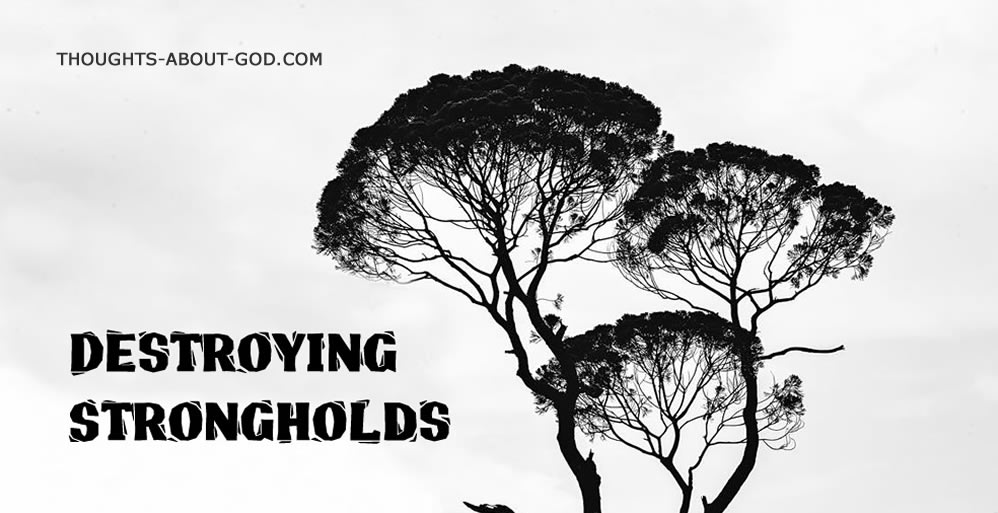 Destroying Strongholds - A Devotional by Rand Kreycik
