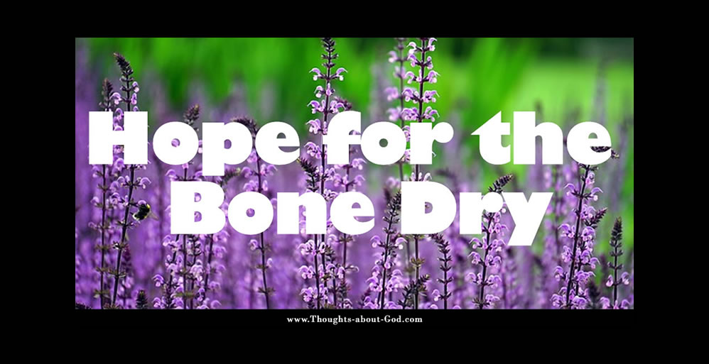 Hope for the Bone Dry - By Ashlea Massie