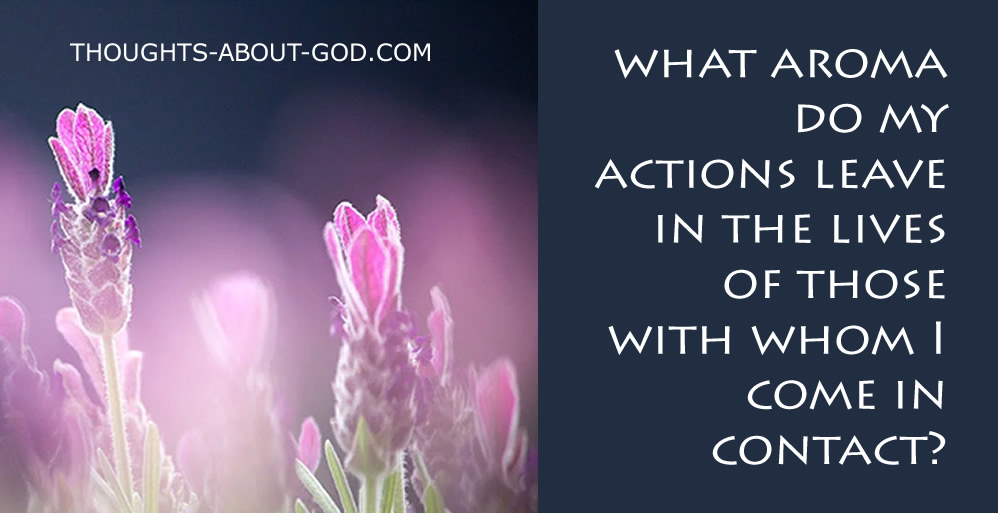 What Do You Smell Like? - by Mike Woodard