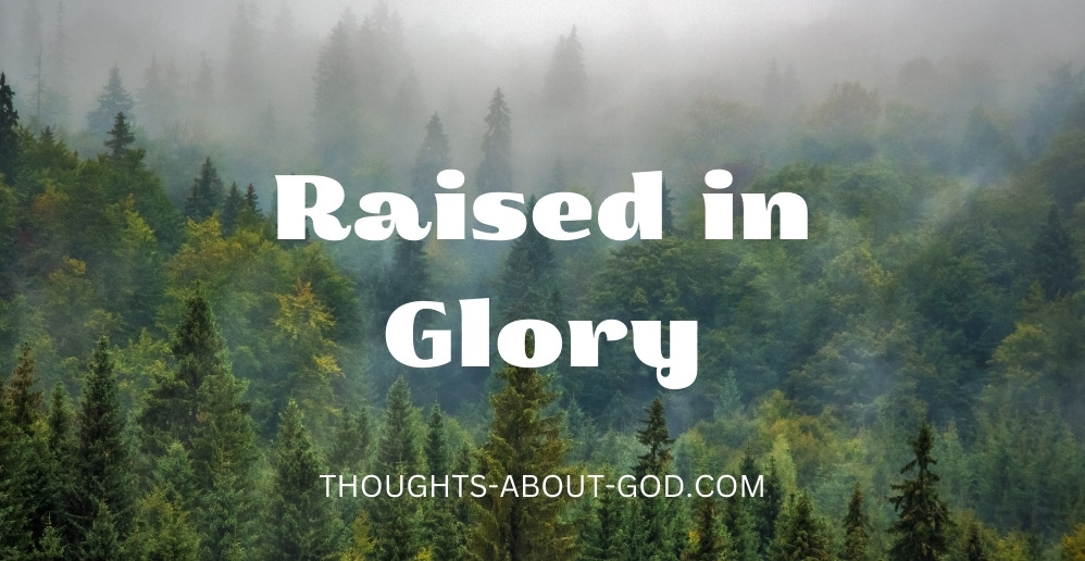 Raised in Glory by Daniel Forster
