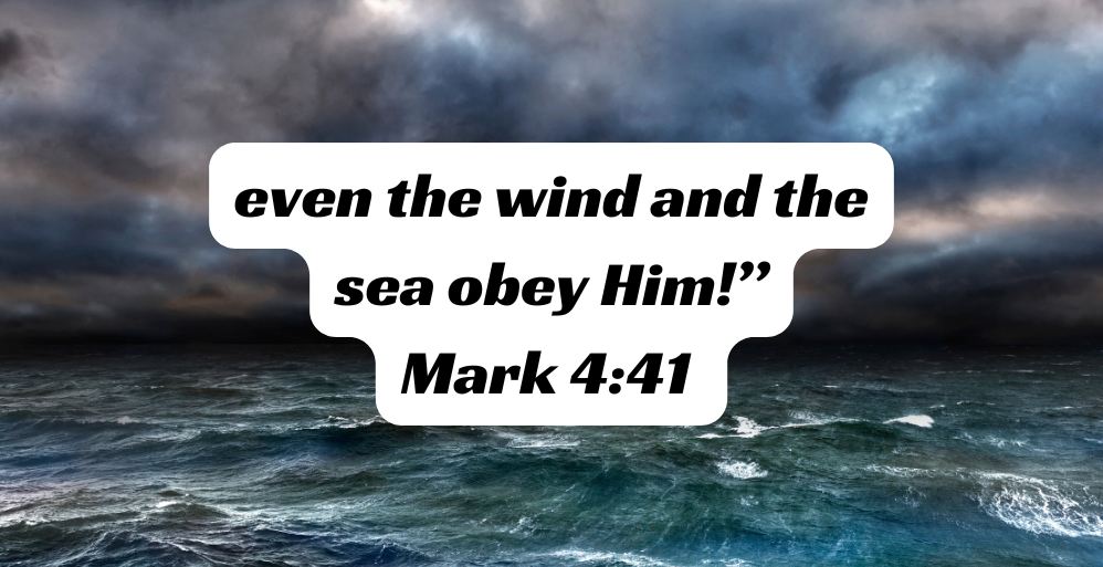 Dealing with Wind and Waves - by Mike Woodard